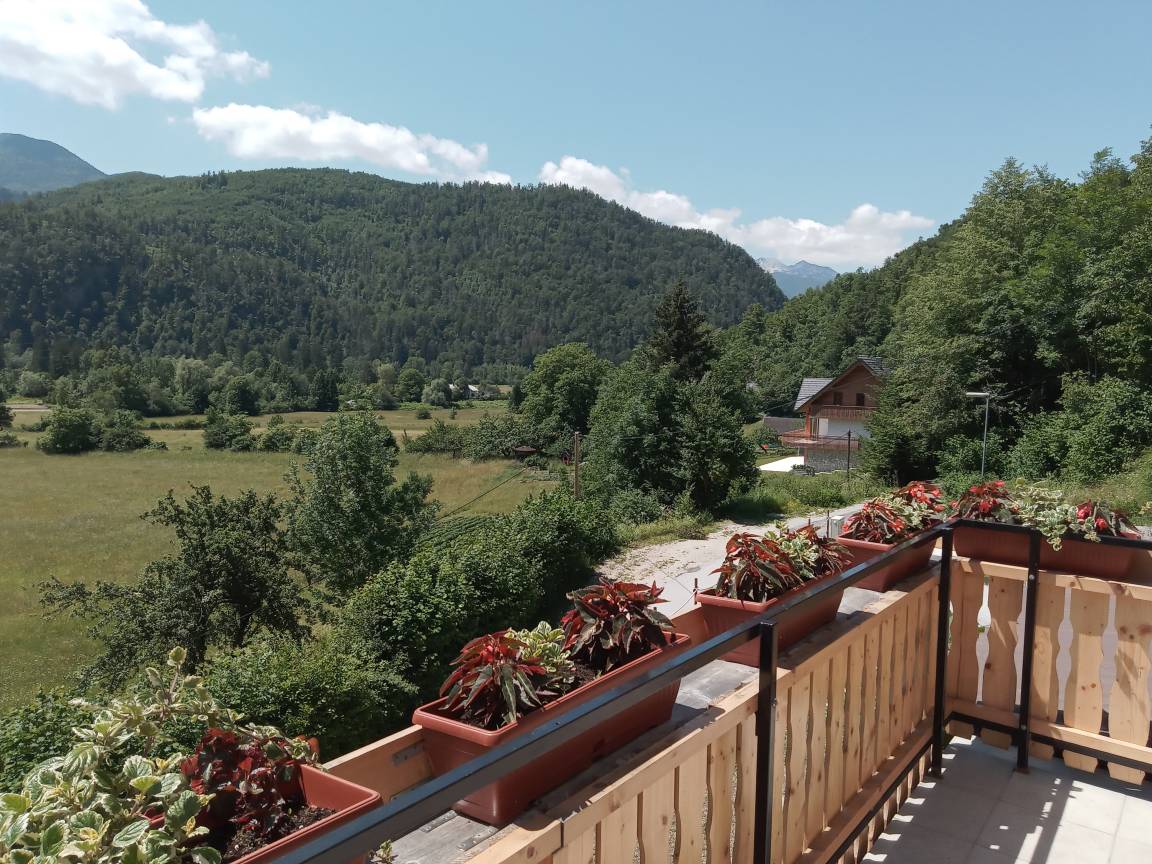 60 M² Apartment ∙ 1 Bedroom ∙ 4 Guests - Municipality of Bohinj