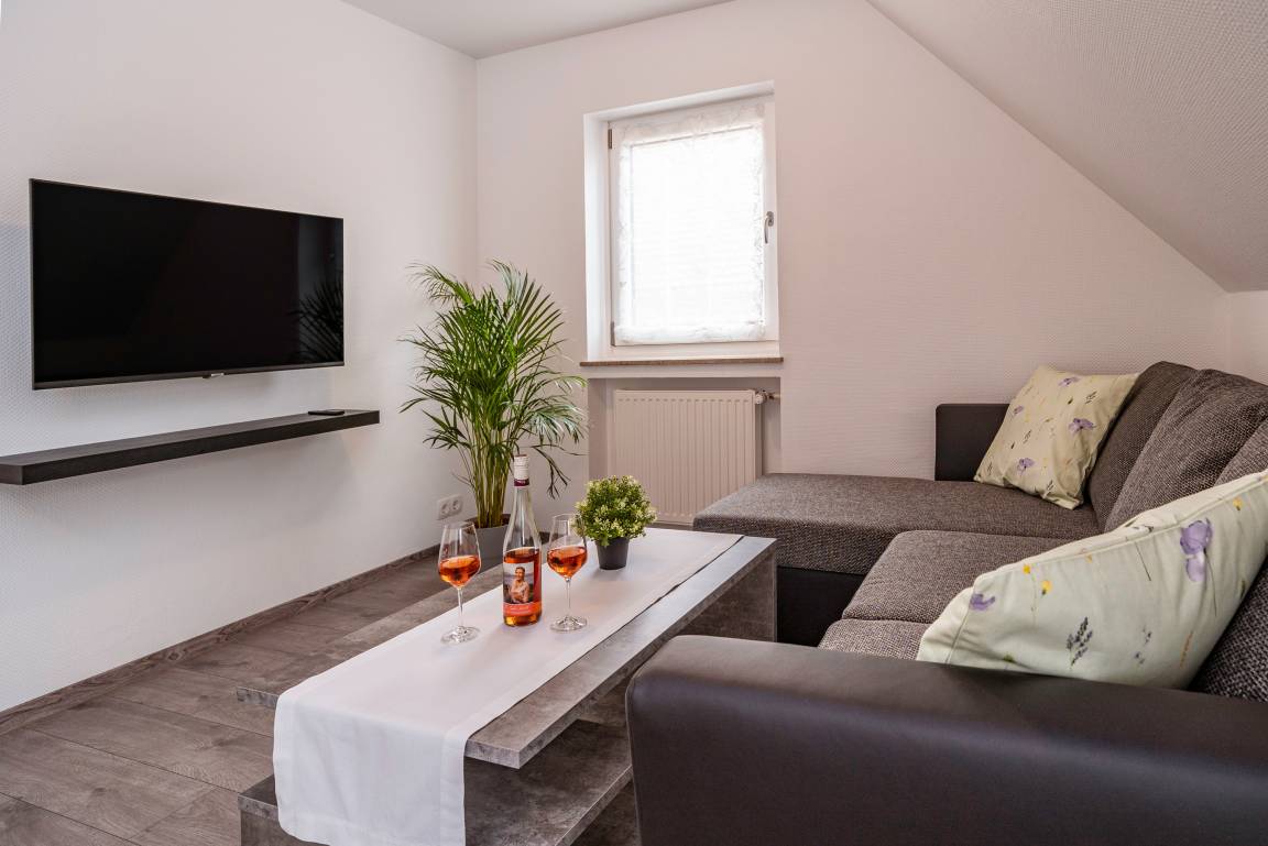 35 M² Ferienwohnung ∙ 1 Schlafzimmer ∙ 2 Gäste - Hagnau am Bodensee