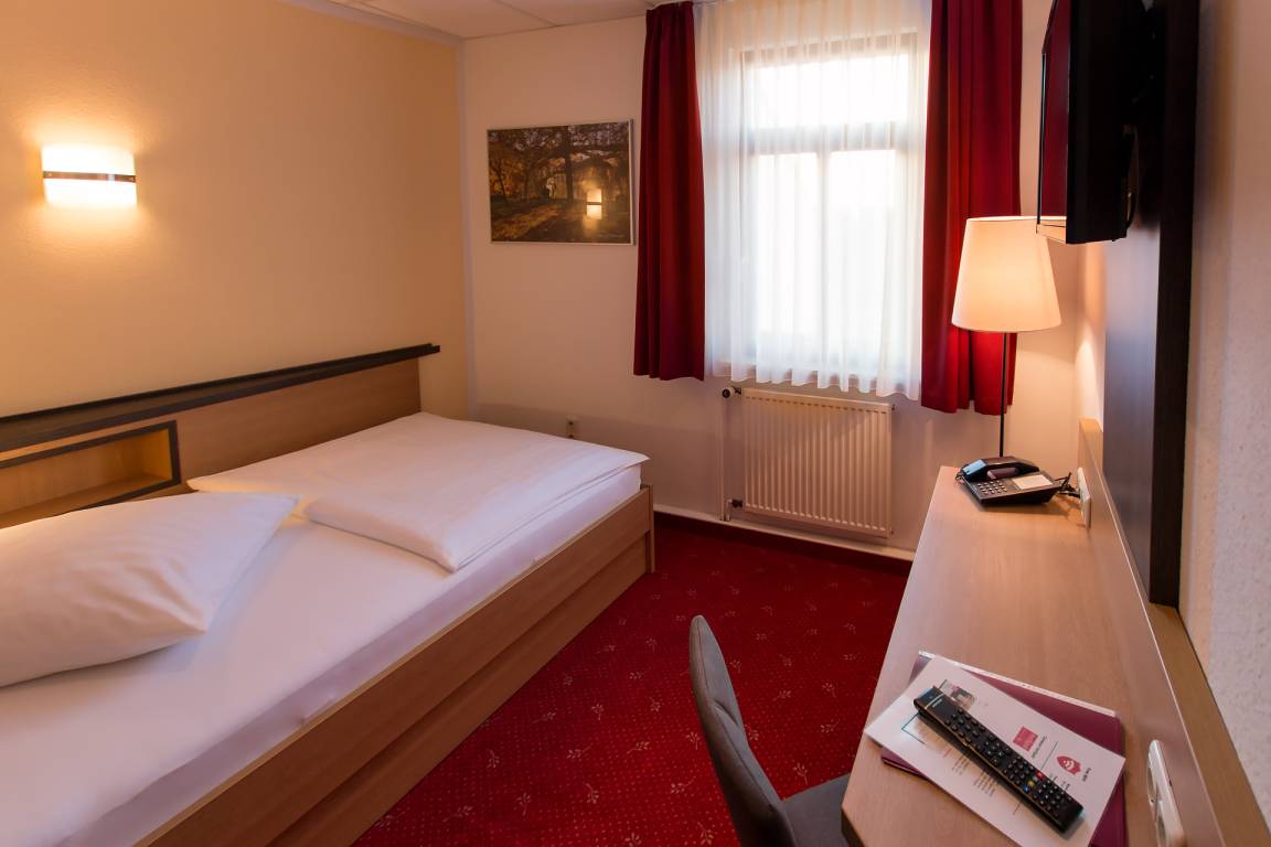 Ferienwohnung ∙ 1 Gast - Altenburg