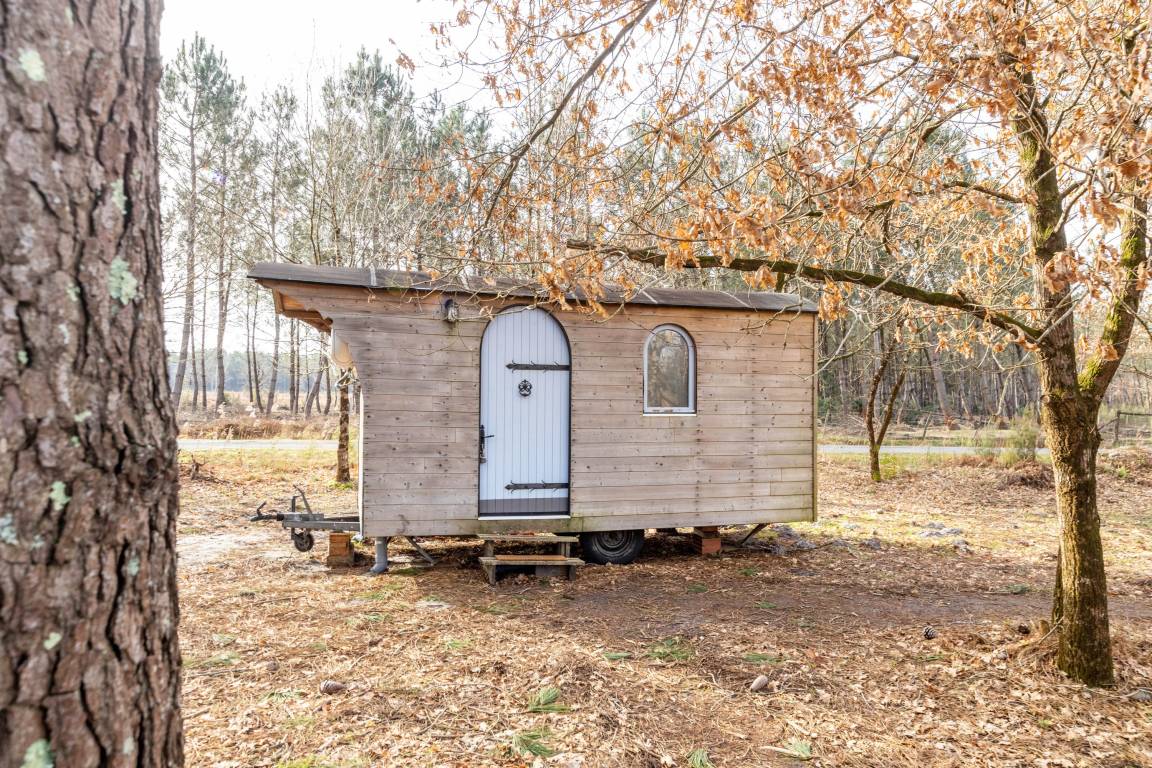 Chambre D'hôtes ∙ 1 Chambre ∙ 2 Personnes - Hourtin