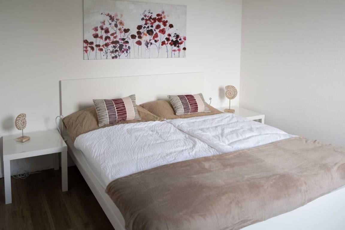 48 M² Apartment ∙ 1 Bedroom ∙ 2 Guests - Schaffhausen