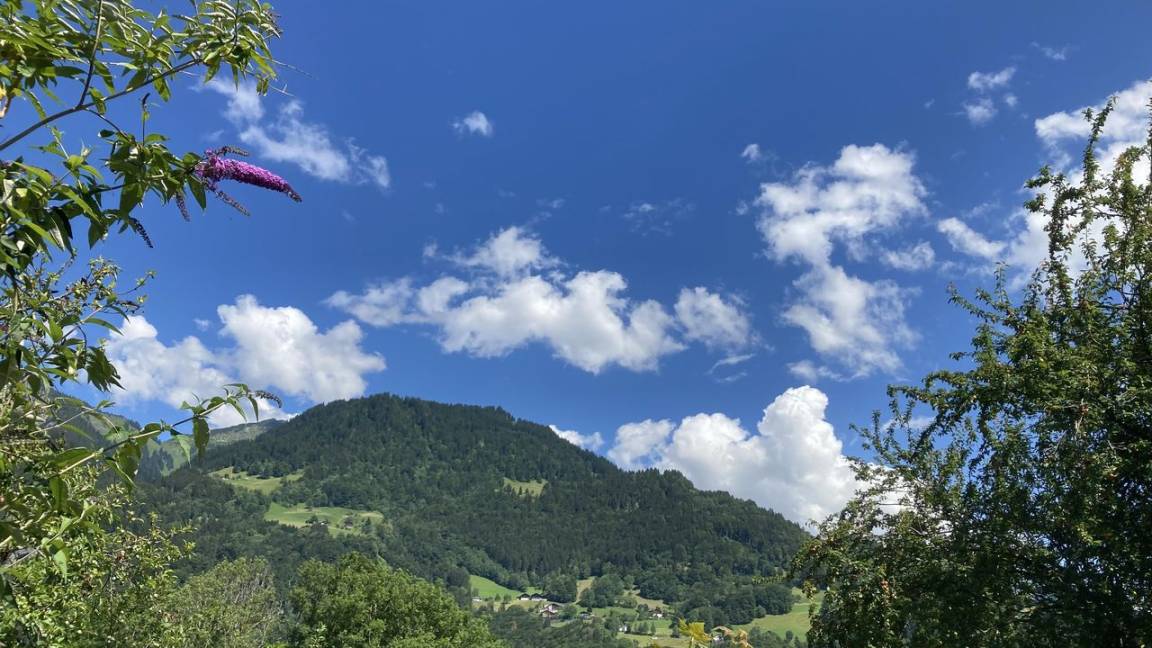 39 M² Apartment ∙ 1 Bedroom ∙ 2 Guests - Bludenz