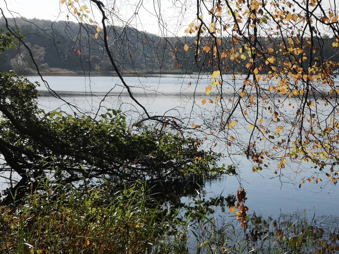 27 M² Ferienhaus ∙ 1 Schlafzimmer ∙ 4 Gäste - Meyenburg