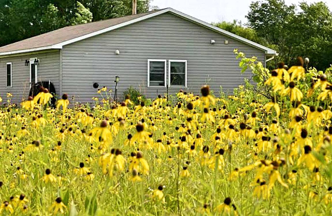 Maison De Vacances ∙ 1 Chambre ∙ 4 Personnes - Illinois
