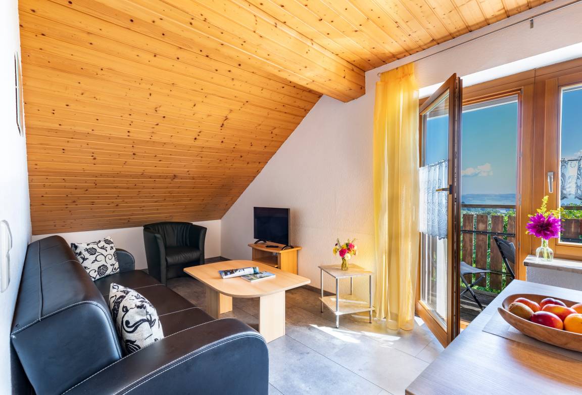 60 M² Ferienwohnung ∙ 2 Schlafzimmer ∙ 5 Gäste - Konstanz