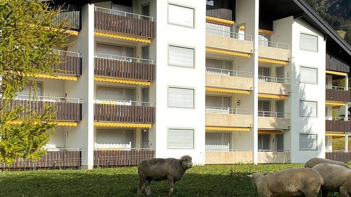 84 M² Appartamento ∙ 2 Camere Da Letto ∙ 6 Ospiti - Lenzerheide