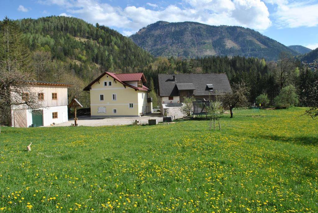Ferienwohnung ∙ 3 Schlafzimmer ∙ 6 Gäste - Lunz am See