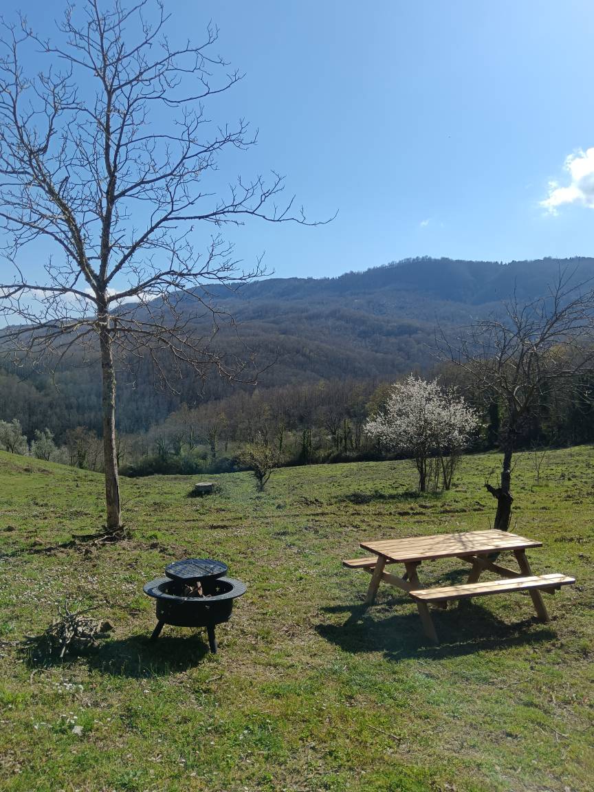 Agriturismo ∙ 1 Camera Da Letto ∙ 2 Ospiti - Cilento