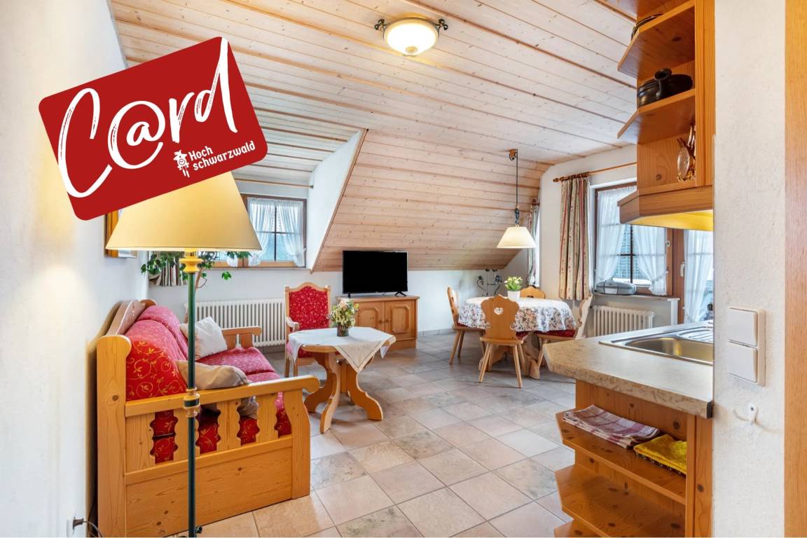 50 M² Appartement ∙ 1 Chambre ∙ 2 Personnes - Feldberg