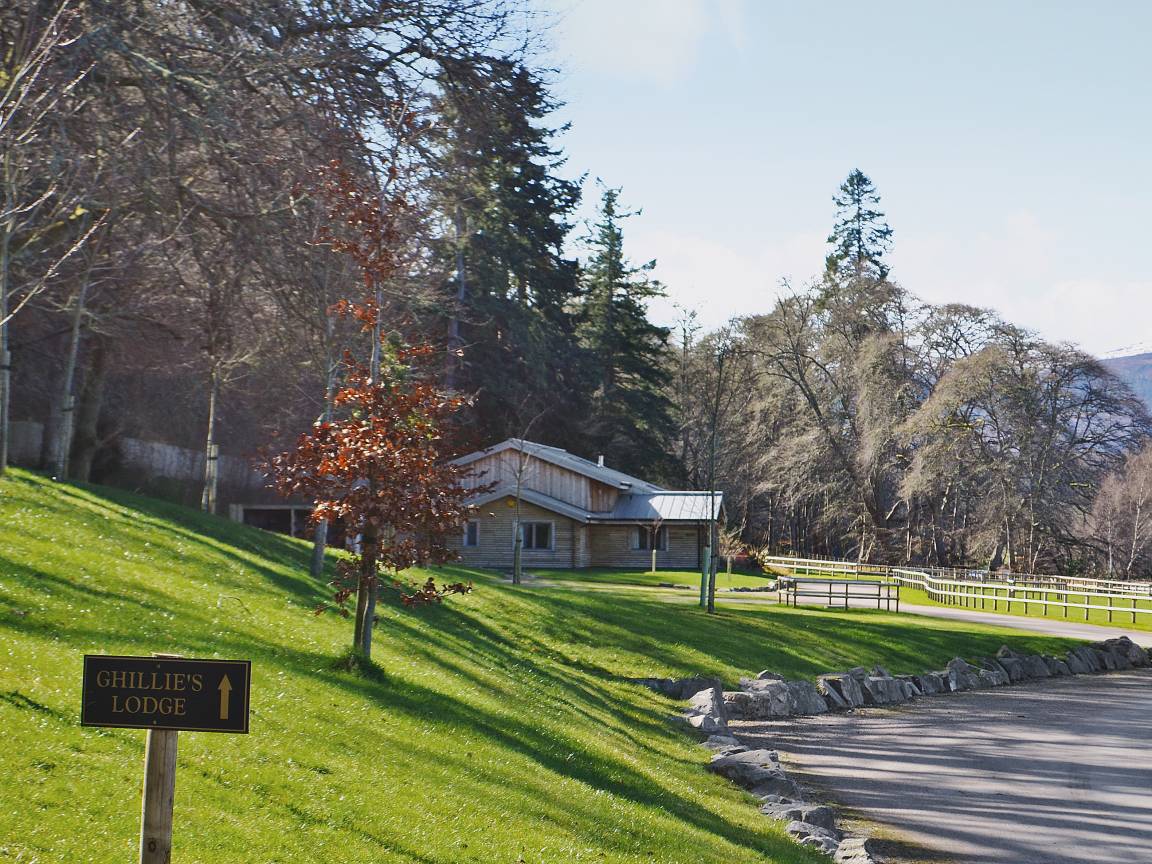 Cottage ∙ 3 Bedrooms ∙ 6 Guests - Inverness