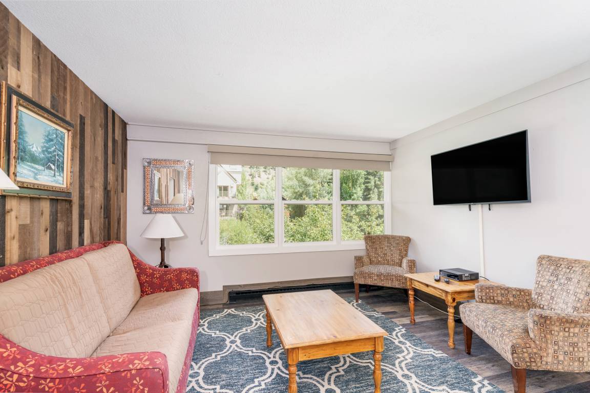 53 M² Condo ∙ 1 Bedroom ∙ 4 Guests - Telluride, CO
