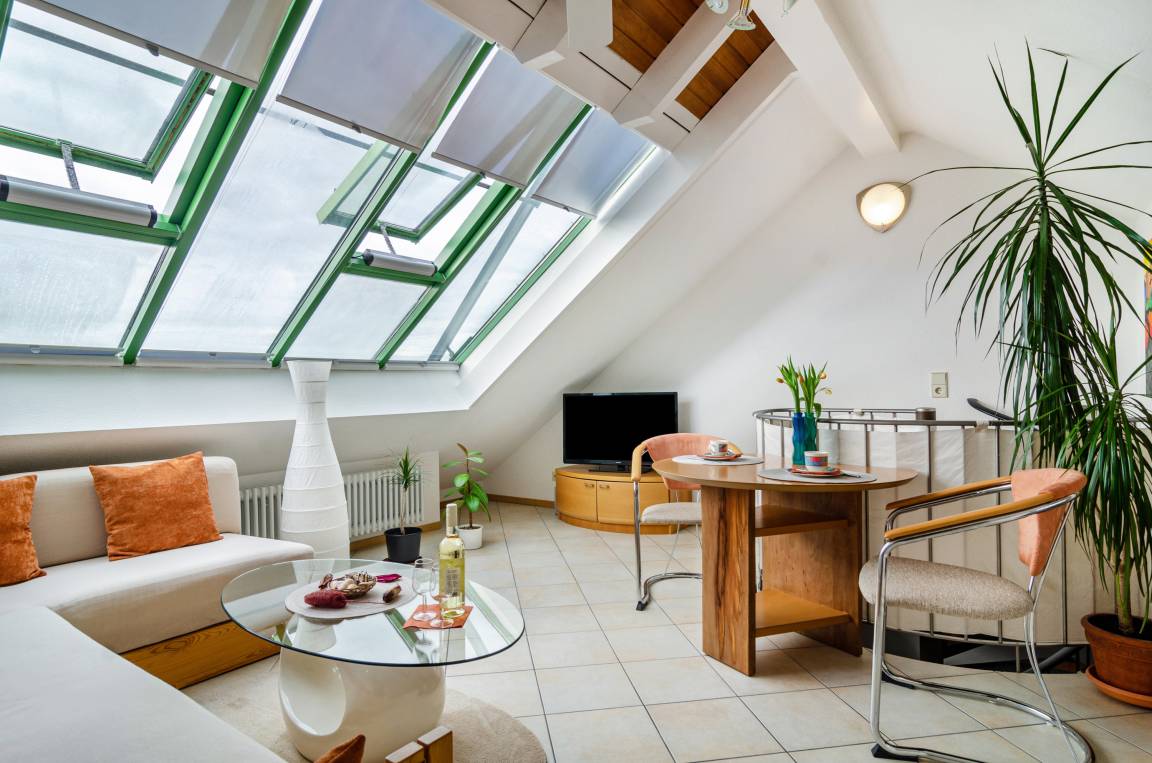 30 M² Apartamento ∙ 1 Habitación ∙ 2 Huéspedes - Meersburg