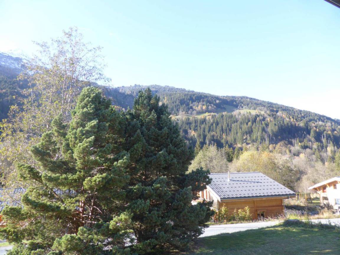 120 M² Chalet ∙ 3 Chambres ∙ 8 Personnes - Haute-Savoie