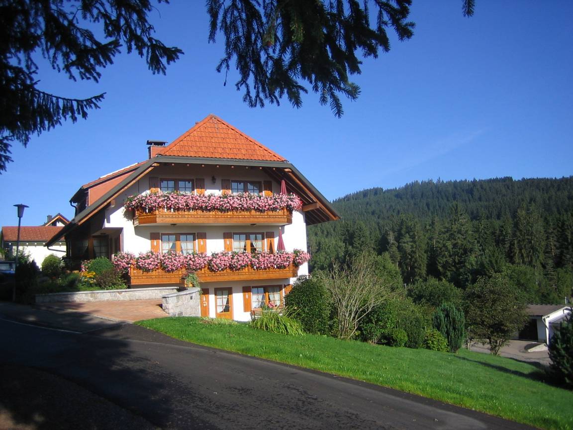 36 M² Studio Flat ∙ 2 Guests - Schluchsee