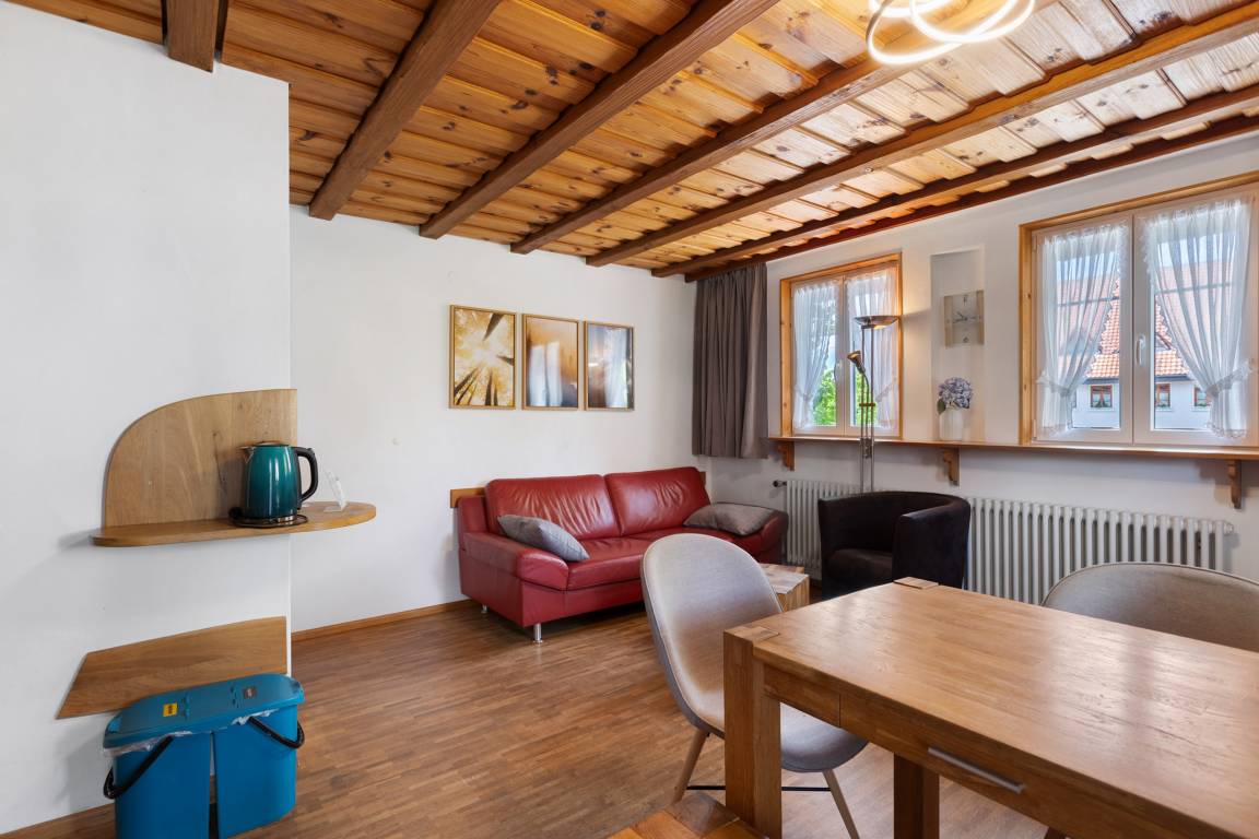 70 M² Apartamento ∙ 2 Habitaciones ∙ 5 Huéspedes - Donaueschingen