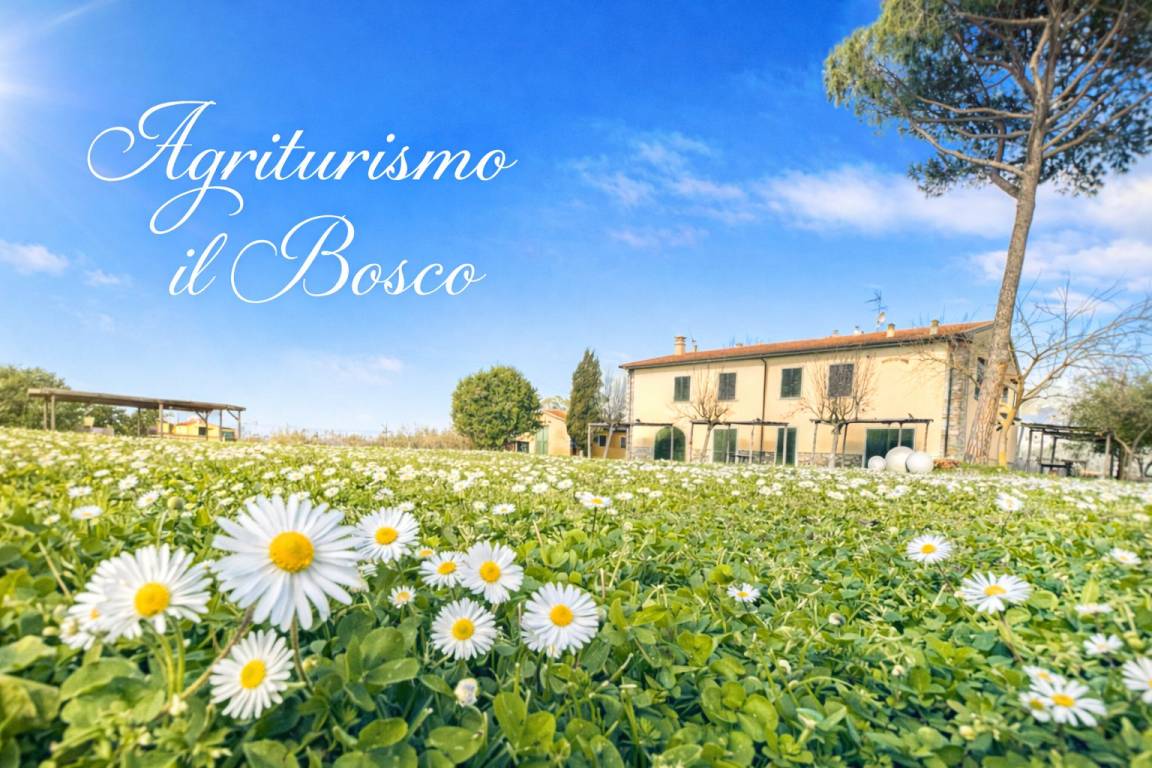 100 M² Agriturismo ∙ 3 Camere Da Letto ∙ 8 Ospiti - Bibbona