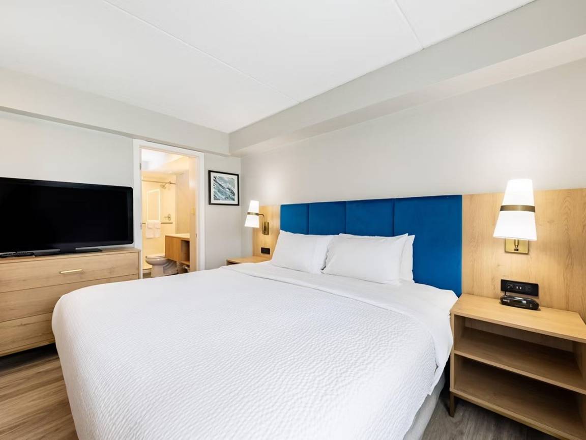 Hotel ∙ 1 Habitación ∙ 2 Huéspedes - London