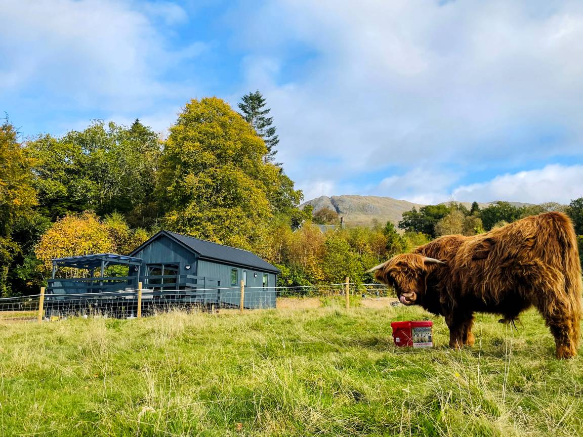Cottage ∙ 1 Bedroom ∙ 2 Guests - Glencoe