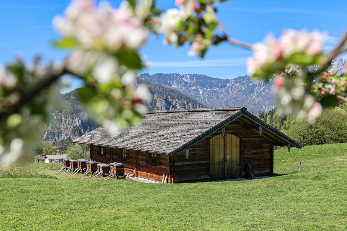 75 M² Ferienwohnung ∙ 2 Gäste - Berchtesgaden