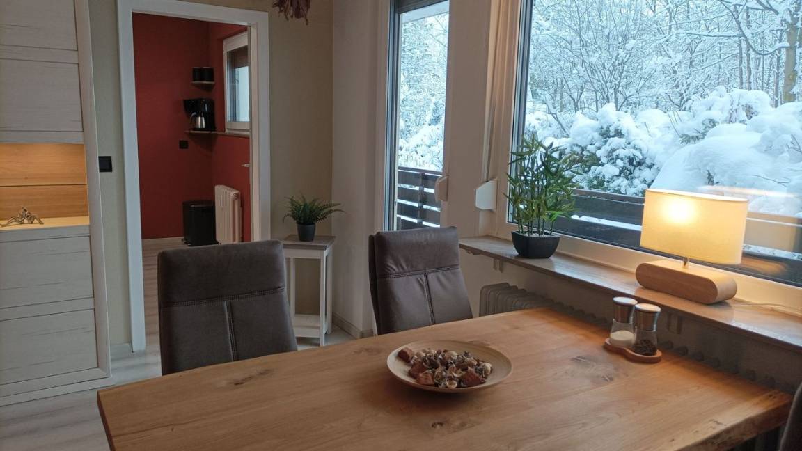 55 M² Appartement ∙ 1 Chambre ∙ 4 Personnes - Schierke