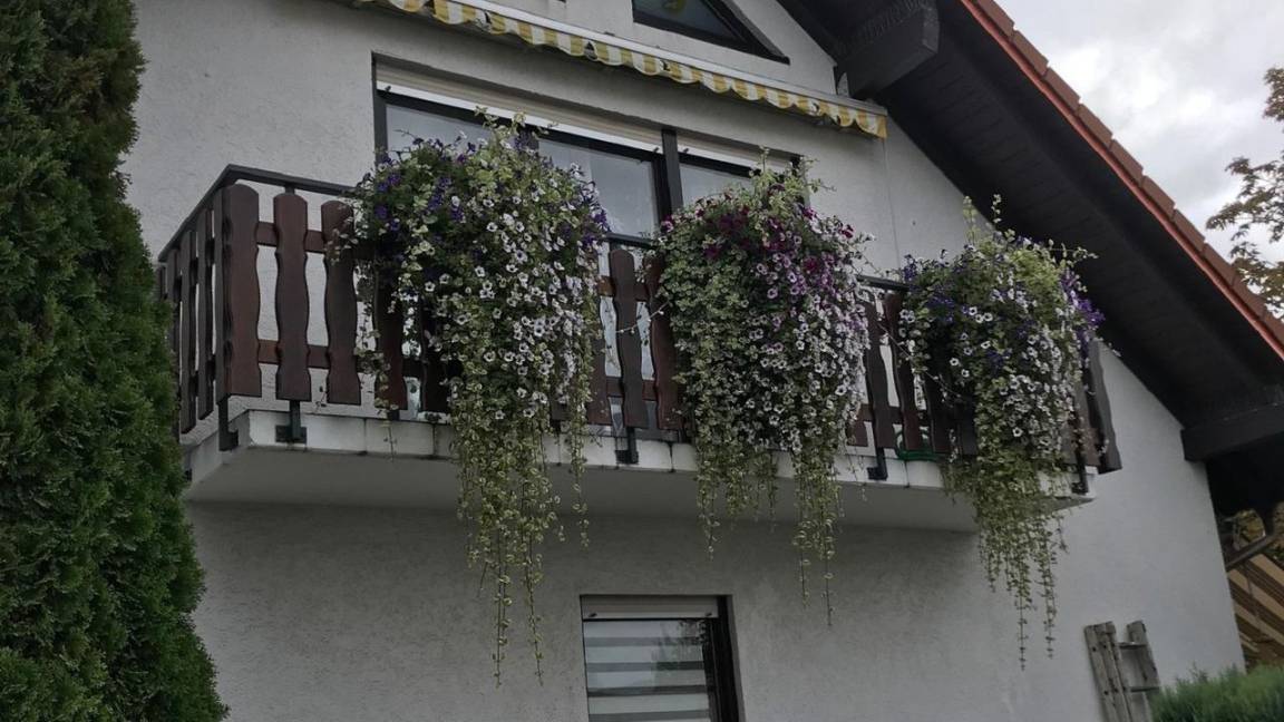 60 M² Appartement ∙ 1 Slaapkamer ∙ 4 Gasten - Bingen am Rhein