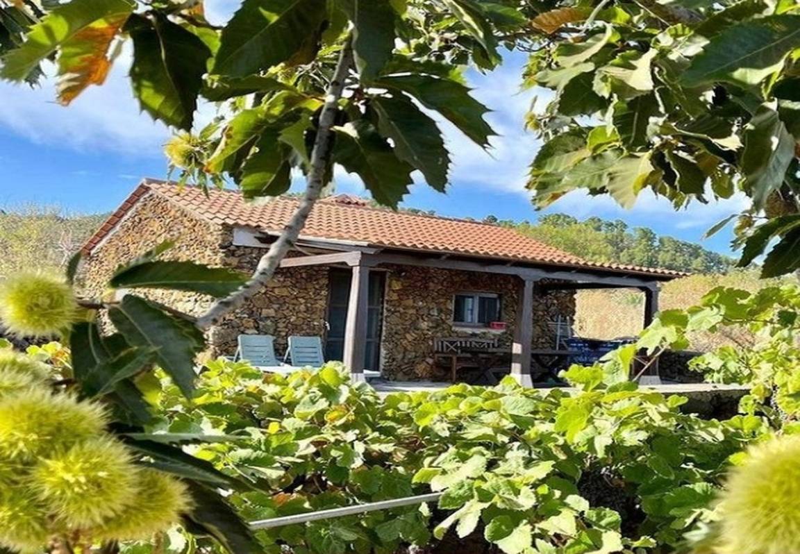 26 M² Casa Rural ∙ 1 Habitación ∙ 2 Huéspedes - El Hierro