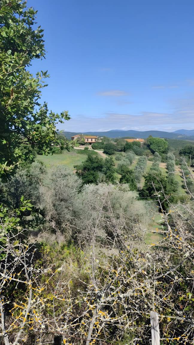 60 M² Apartment ∙ 2 Bedrooms ∙ 5 Guests - Gavorrano