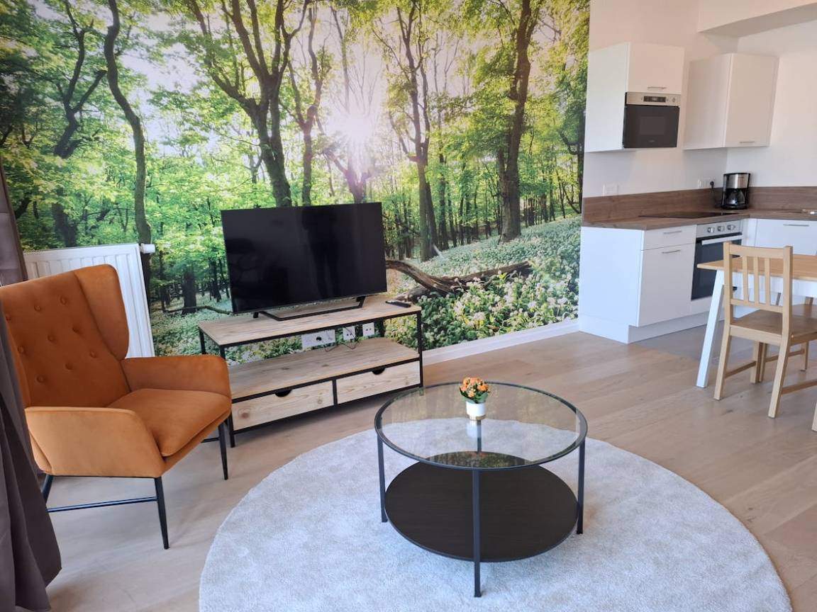 70 M² Appartement ∙ 1 Chambre ∙ 4 Personnes - Esneux