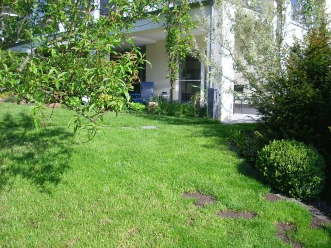 Appartamento Vacanza ∙ 1 Camera Da Letto ∙ 2 Ospiti - Witzenhausen