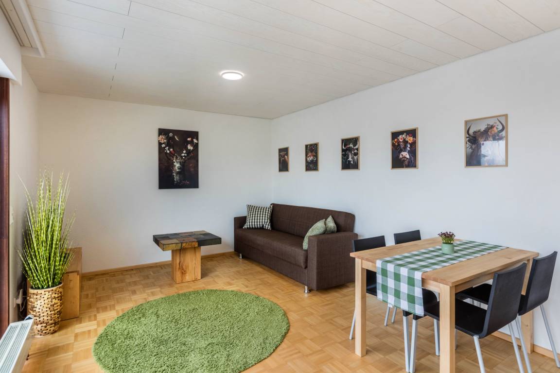 50 M² Ferienwohnung ∙ 1 Schlafzimmer ∙ 2 Gäste - Weil am Rhein
