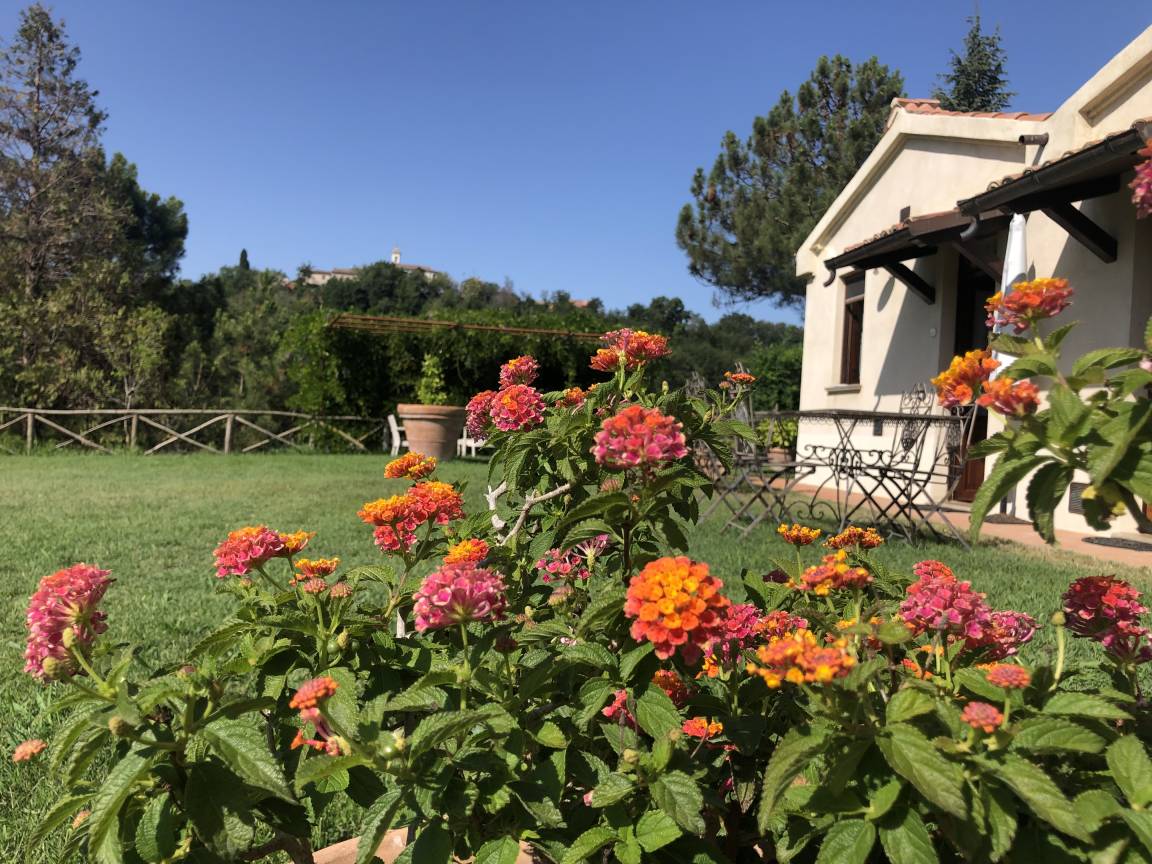 43 M² Farmhouse ∙ 1 Bedroom ∙ 4 Guests - Fano