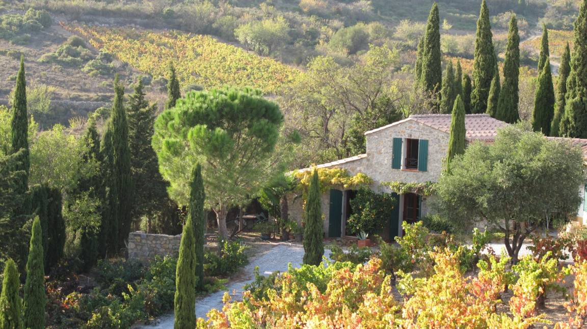 50 M² Gîte ∙ 2 Bedrooms ∙ 4 Guests - Languedoc-Roussillon