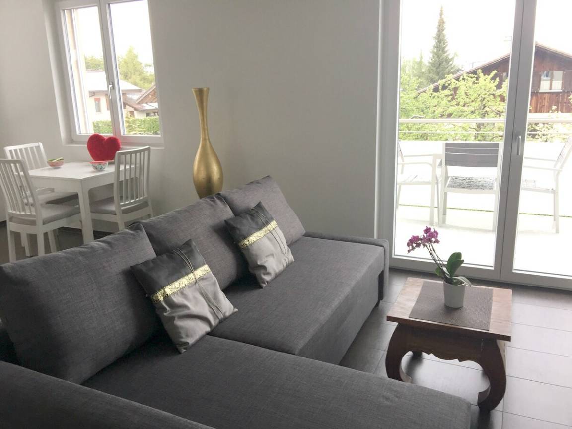 Appartement ∙ 1 Chambre ∙ 3 Personnes - Thoune