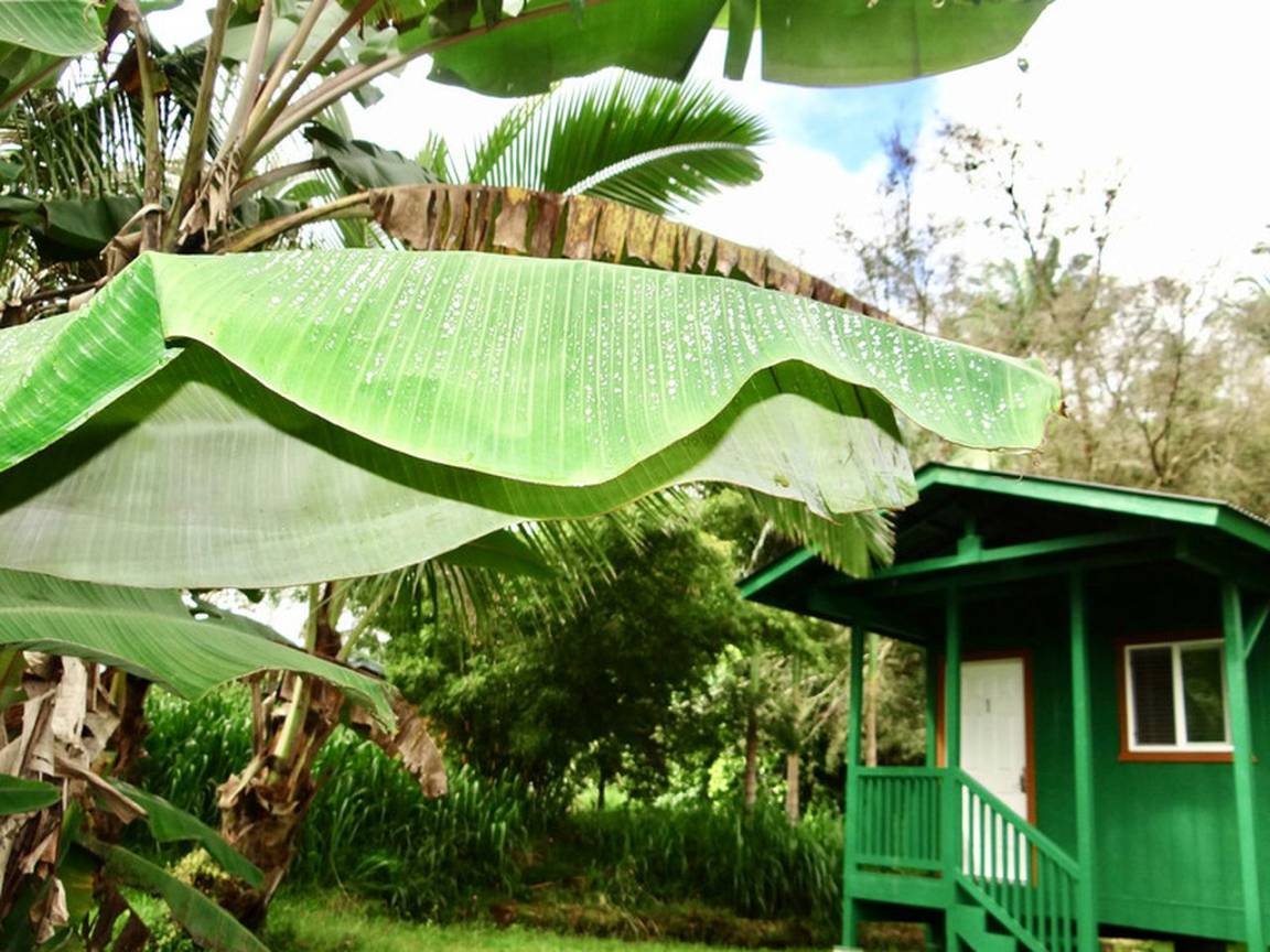 House ∙ 1 Bedroom ∙ 4 Guests - Pāhoa, HI
