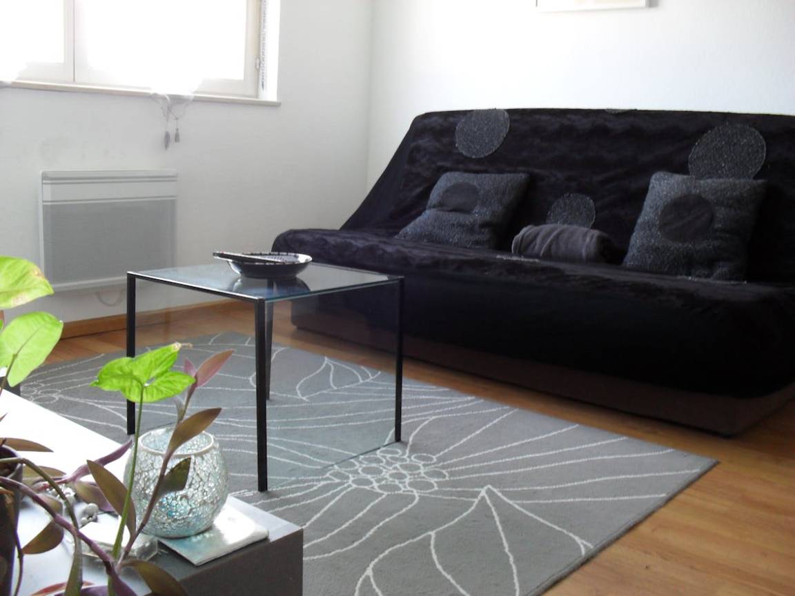 23 M² Appartement ∙ 1 Chambre ∙ 1 Personne - Lingolsheim