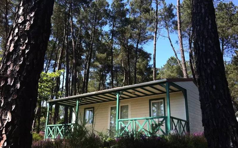 40 M² Chalet ∙ 3 Bedrooms ∙ 6 Guests - Dordogne