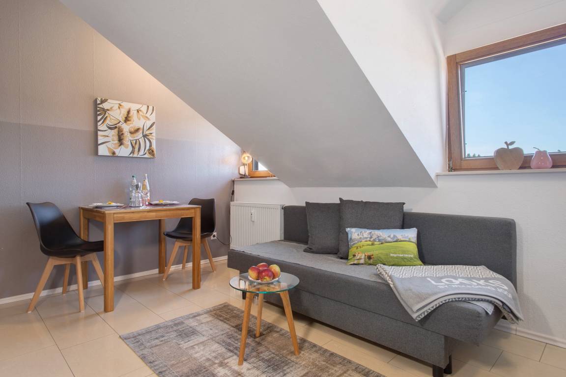 40 M² Apartment ∙ 1 Bedroom ∙ 2 Guests - Friedrichshafen