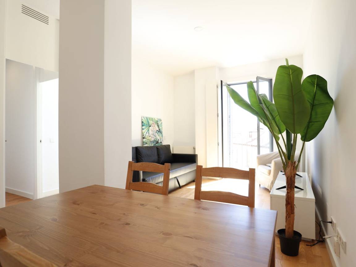 55 M² Apartment ∙ 2 Bedrooms ∙ 3 Guests - Madrid