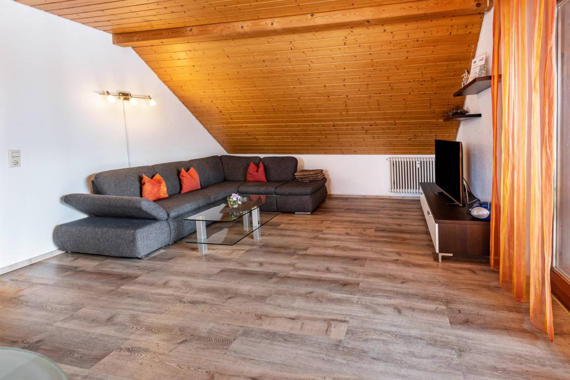 75 M² Ferienwohnung ∙ 2 Schlafzimmer ∙ 4 Gäste - Gailingen am Hochrhein