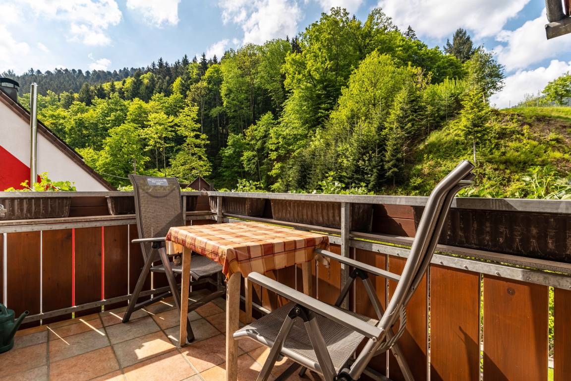 22 M² Ferienwohnung ∙ 1 Schlafzimmer ∙ 2 Gäste - Bad Peterstal-Griesbach