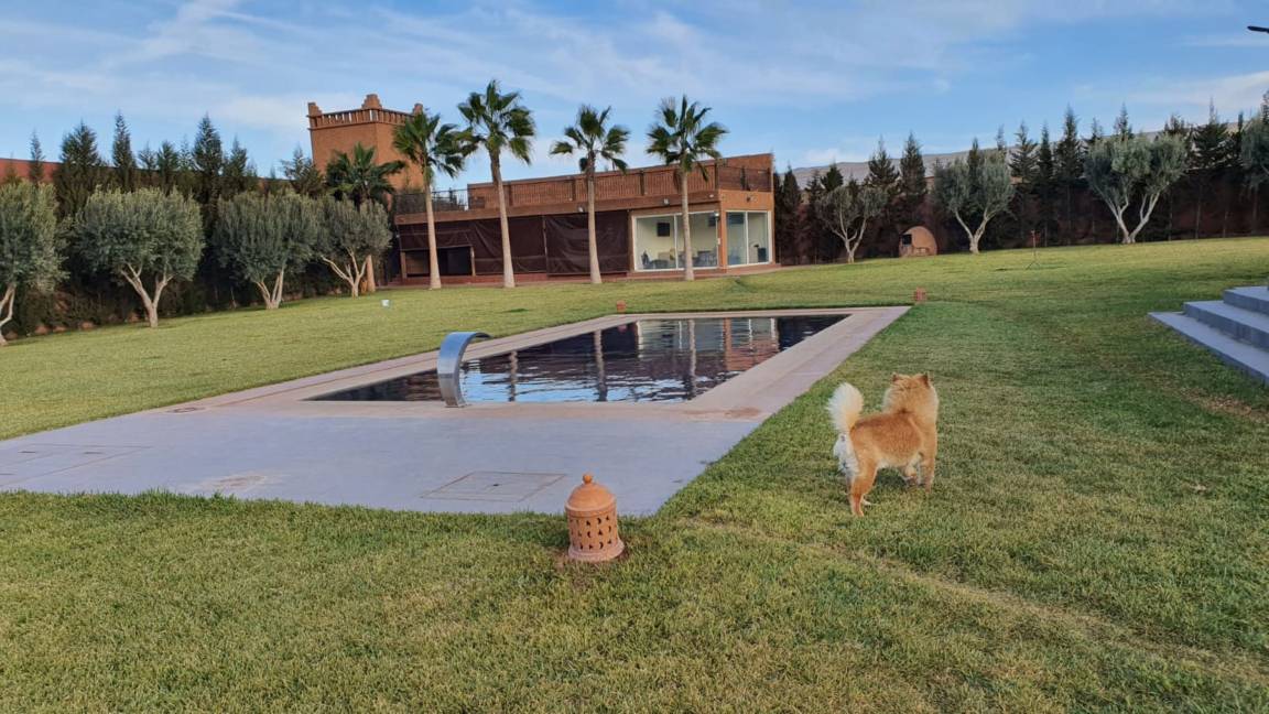 6000 M² Agriturismo ∙ 8 Camere Da Letto ∙ 16 Ospiti - Marocco