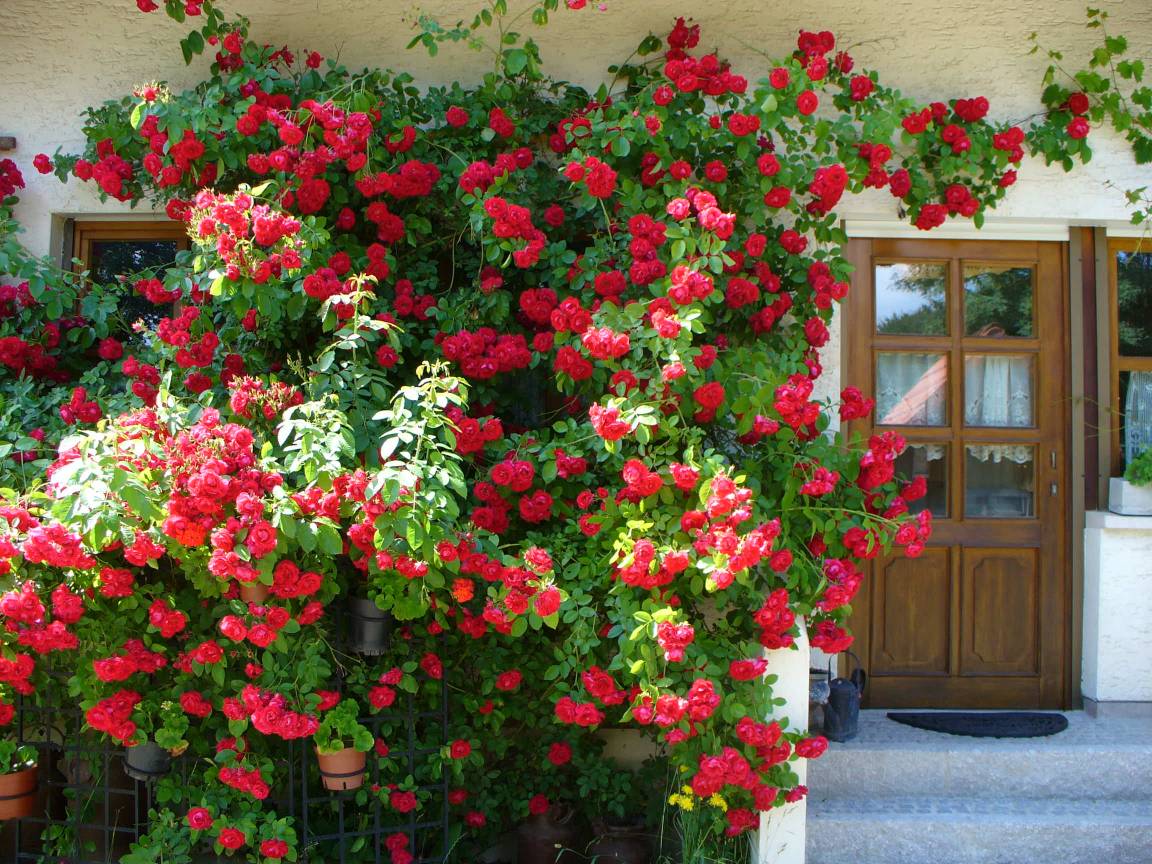 Apartment ∙ 2 Bedrooms ∙ 6 Guests - Kronach