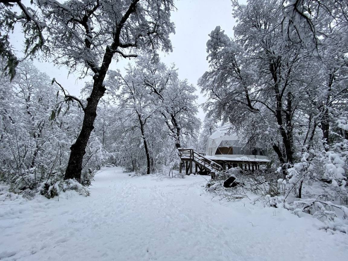 Camping ∙ 1 Chambre ∙ 4 Personnes - Biobío