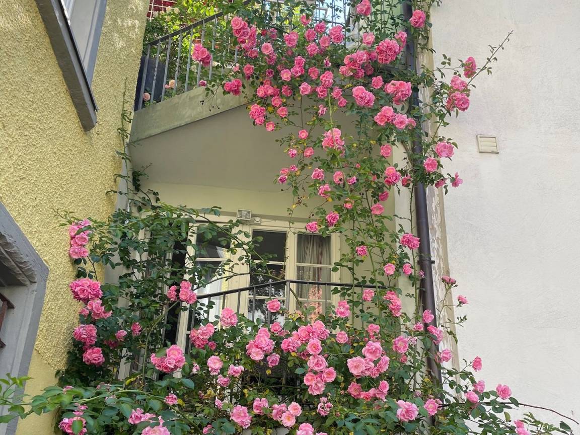 80 M² Apartment ∙ 1 Bedroom ∙ 4 Guests - Lindau
