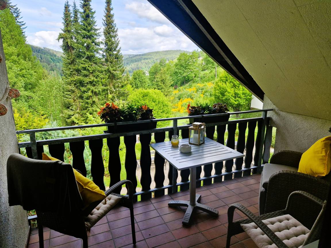 40 M² Ferienwohnung ∙ 1 Schlafzimmer ∙ 2 Gäste - Hornberg