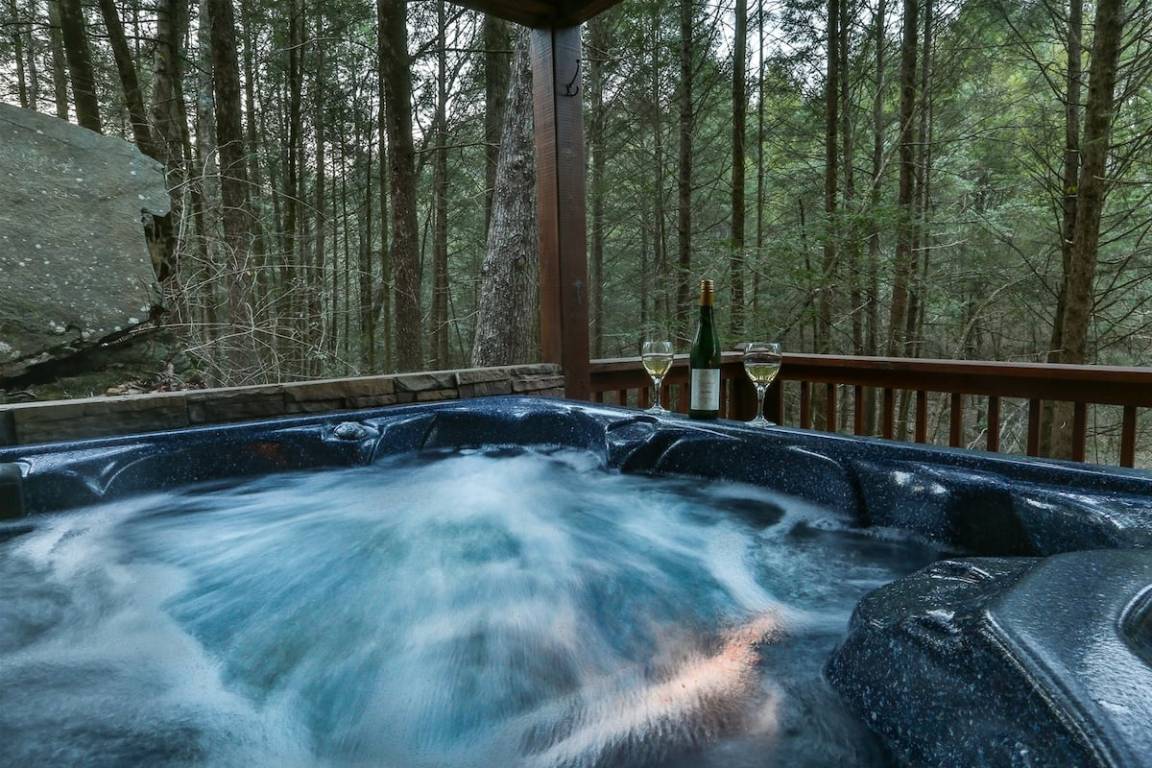 Cabin ∙ 3 Bedrooms ∙ 6 Guests - Ellijay, GA