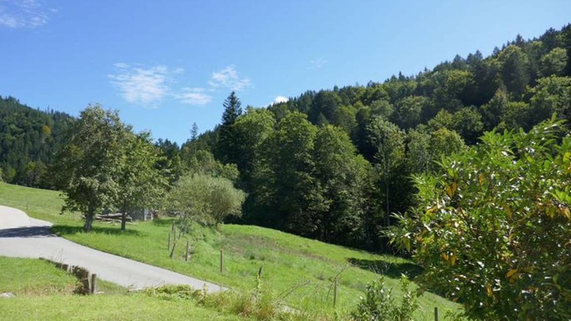 200 M² Appartement ∙ 3 Chambres ∙ 6 Personnes - Tegernsee