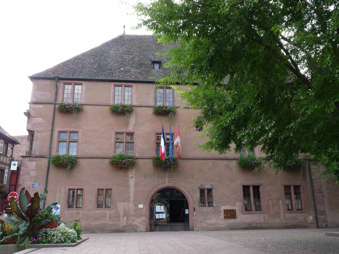 55 M² Appartement ∙ 1 Chambre ∙ 2 Personnes - Kaysersberg