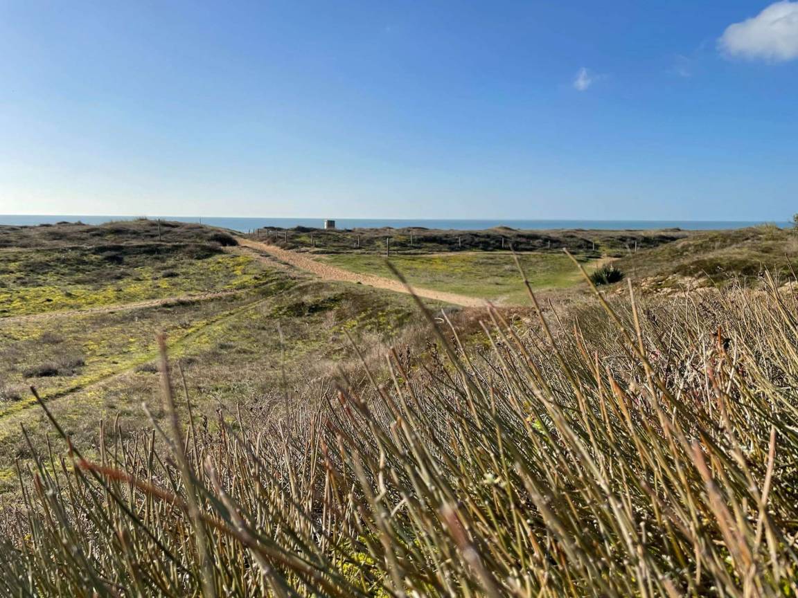 55 M² Huoneisto ∙ 2 Makuuhuonetta ∙ 6 Vierasta - Notre-Dame-de-Monts