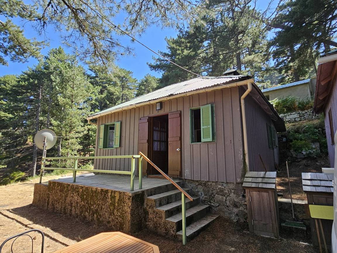47 M² Casa Vacanza ∙ 2 Camere Da Letto ∙ 3 Ospiti - Zonza